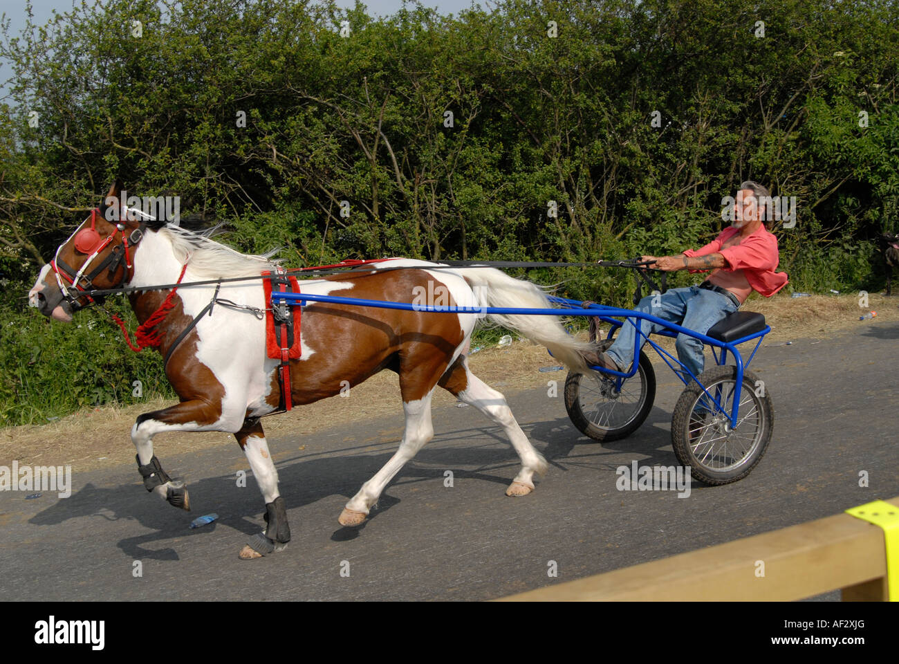 Pony Trap High Resolution Stock Photography and Images - Alamy