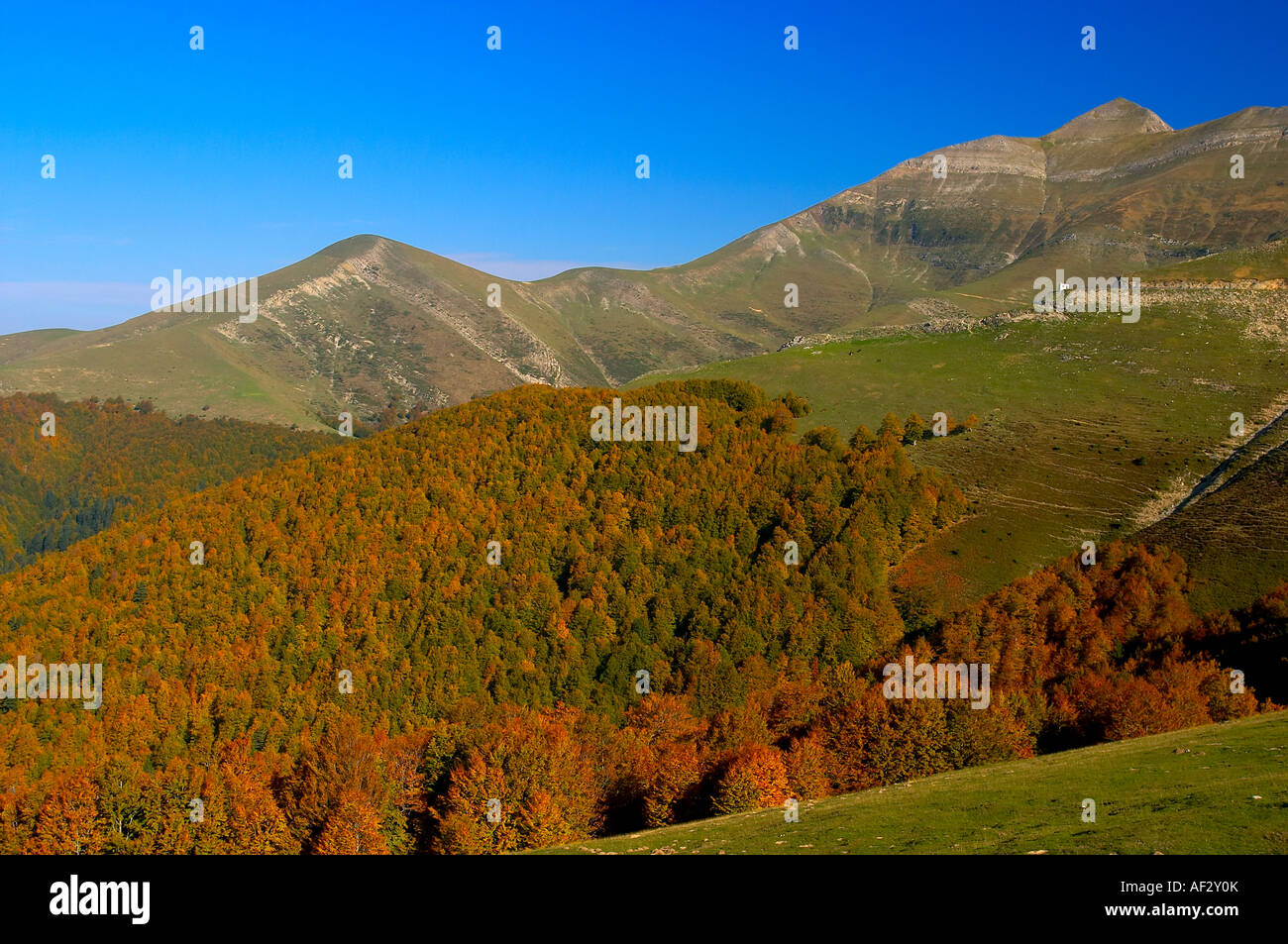 Hayedo y pico del Ori, Selva de Irati Navarra Spain. Beech Forest and ...