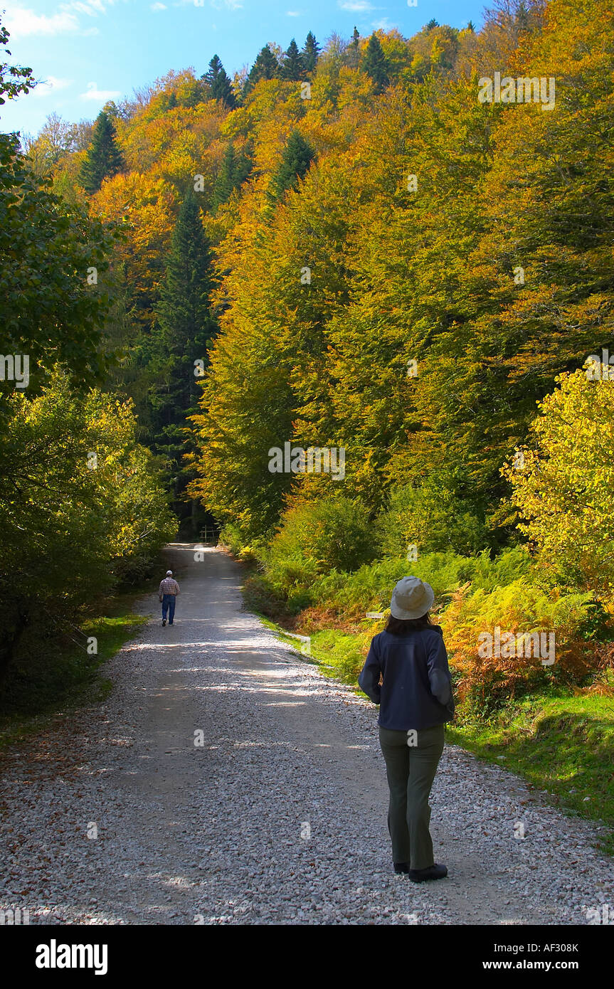 Hoja de carretera hi-res stock photography and images - Alamy