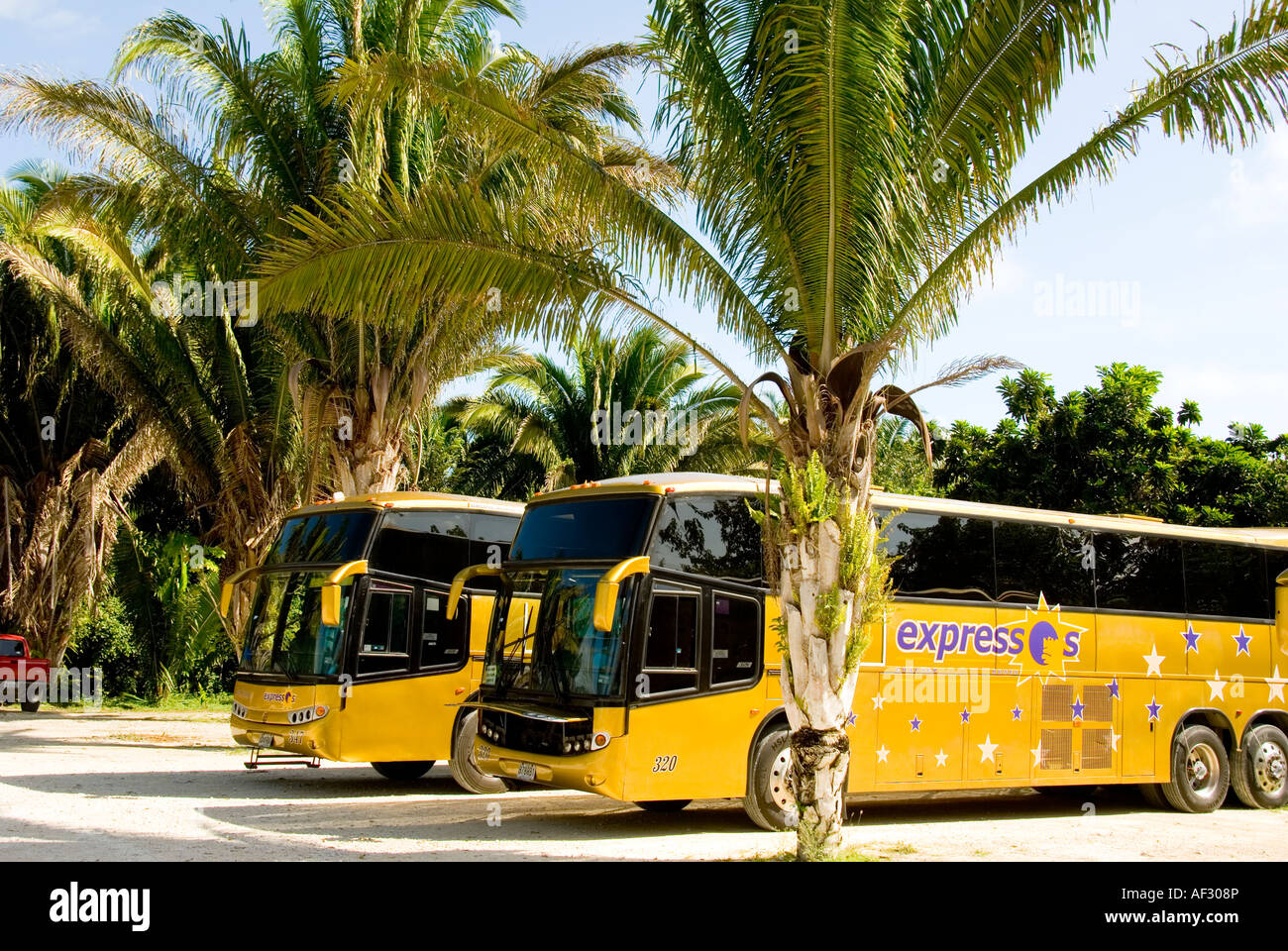 Costa Maya Chacchoben archaeological site modern tour bus mexico Stock ...