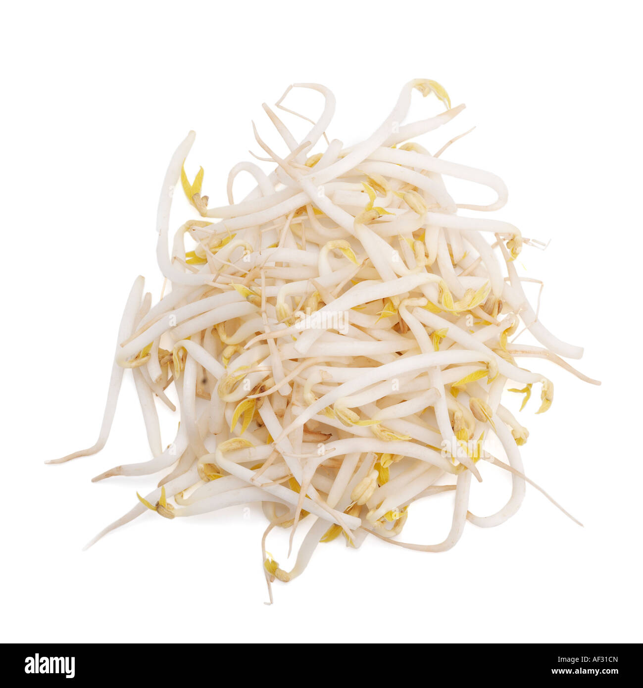 Vegetable sprouts Cut Out Stock Images & Pictures - Alamy