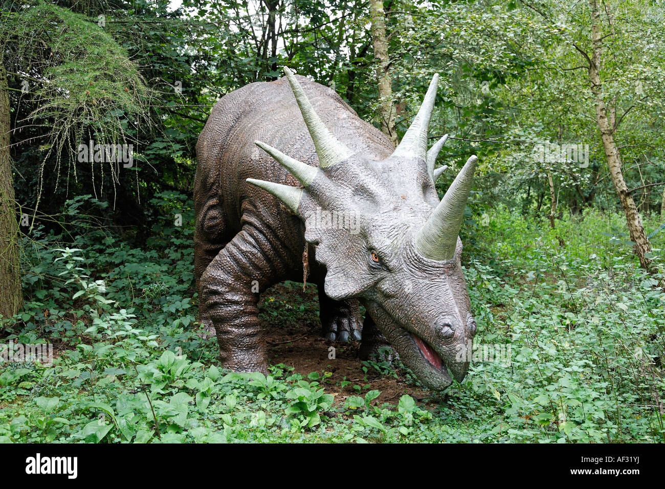 Life size model dinosaur Styracosaurus Stock Photo - Alamy