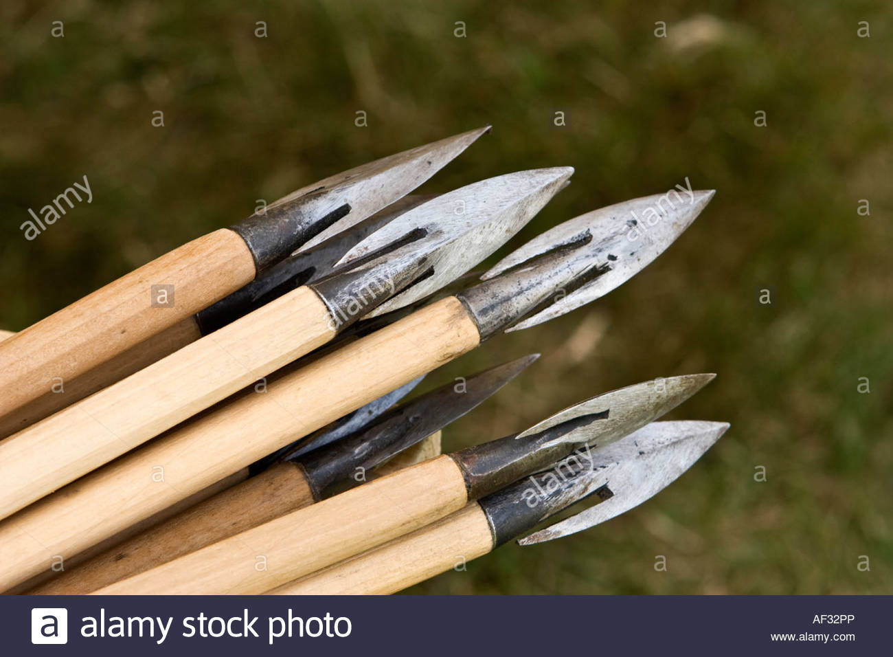 Bodkin Arrow High Resolution Stock Photography and Images - Alamy