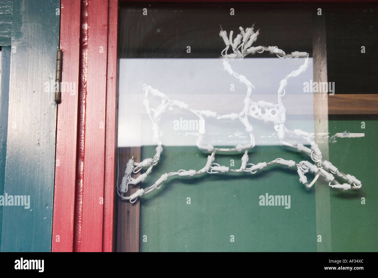 Solitary reindeer hi-res stock photography and images - Alamy