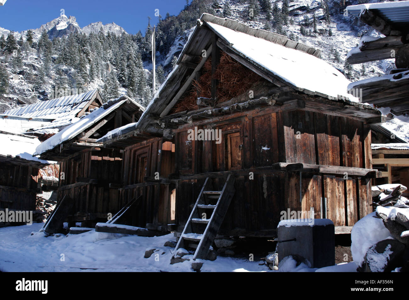 Tibetan woodwork High Resolution Stock Photography and Images - Alamy