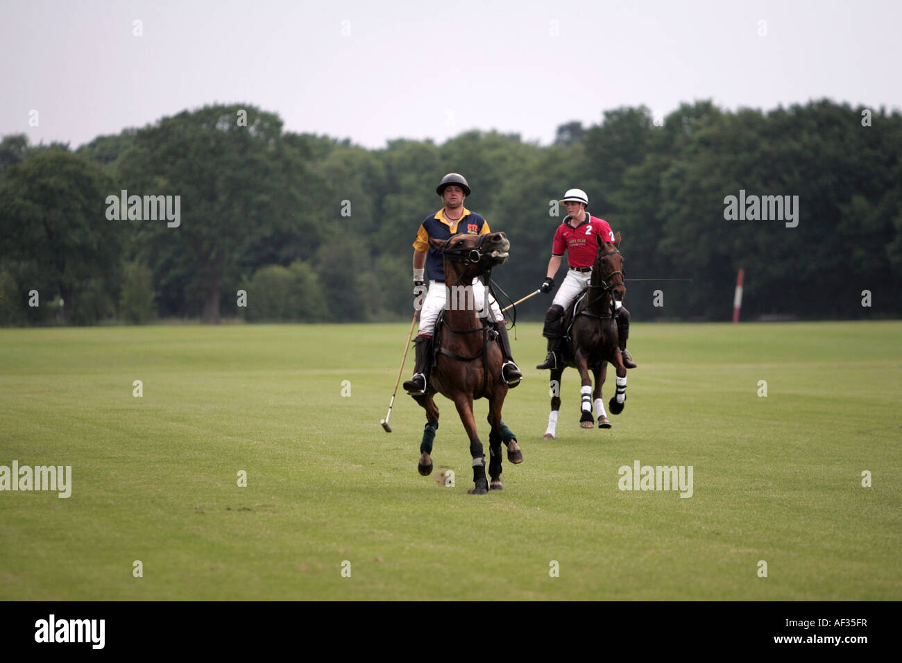 Female polo player in action hi-res stock photography and images - Alamy