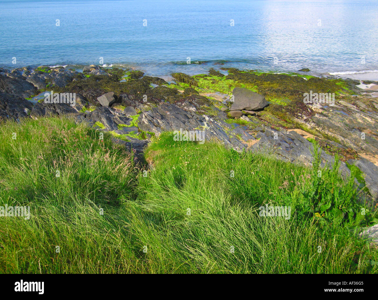 Coastline Near Crawfordsburn Belfast Lough Ulster Northern Ireland ...