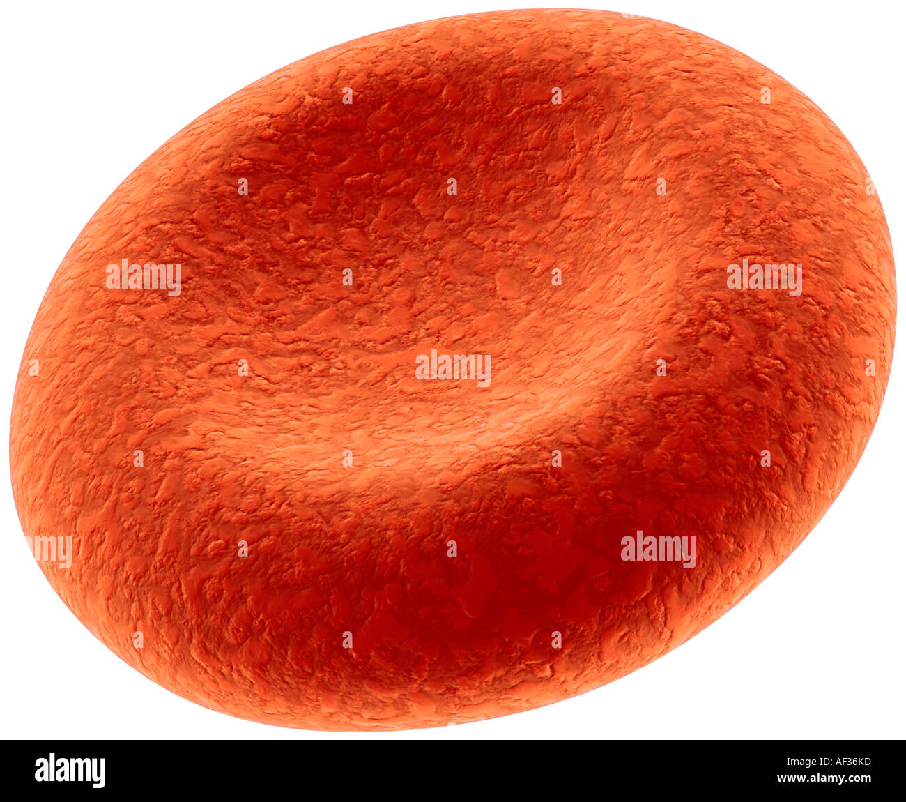 Red Blood Cell Stock Photo - Alamy