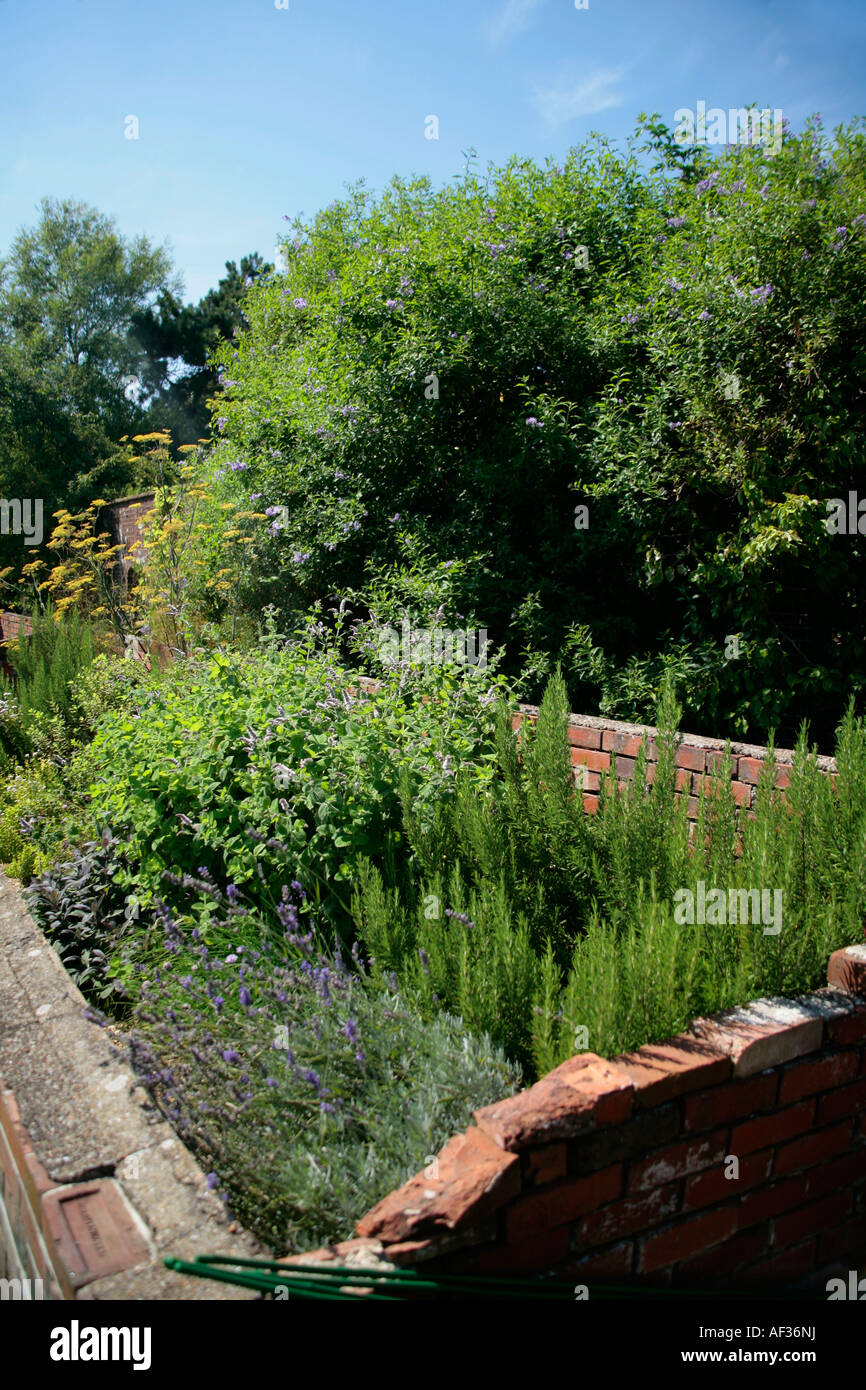 Old pineapple pit planted with herbs at St Marys House, Bramber, West ...