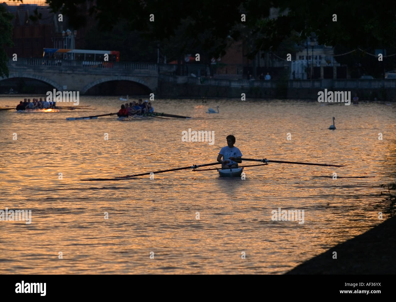 Bedford rowing hi-res stock photography and images - Alamy