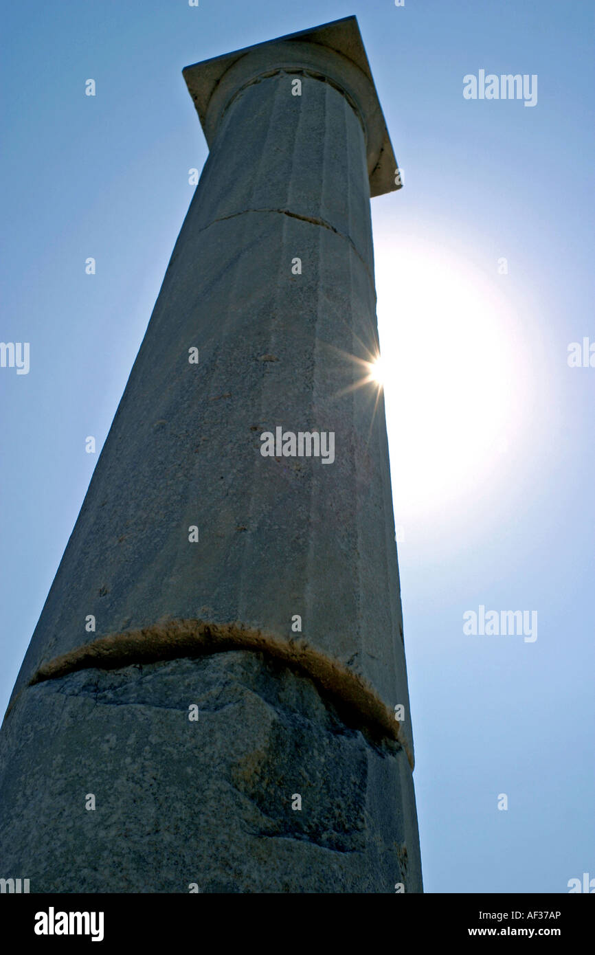Fluted Doric Columns at Jenny Mcnear blog