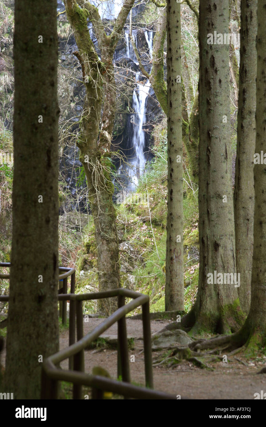Path leading through woodland to waterfall Stock Photo - Alamy