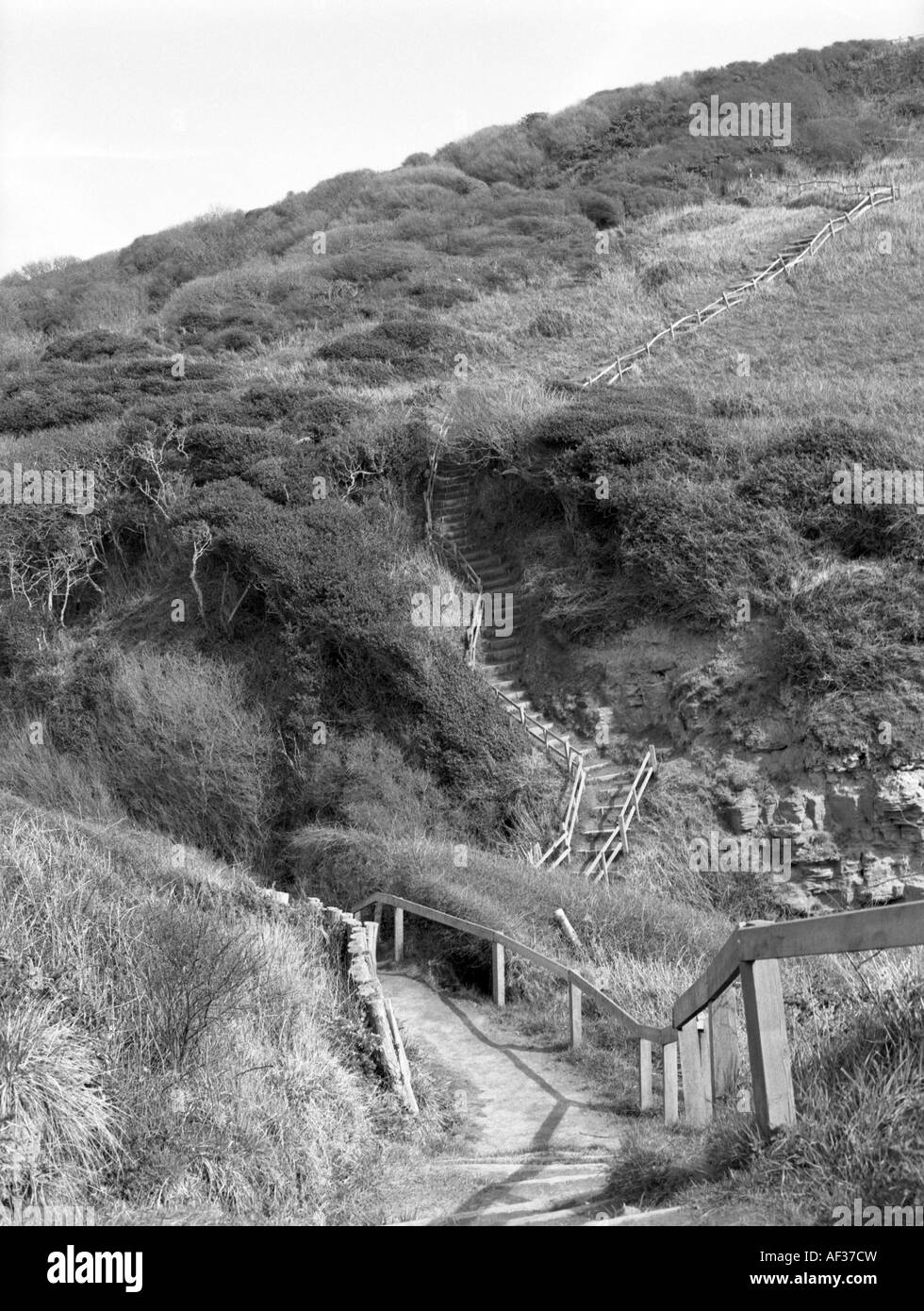 Man-made wooden path travelling through a hillside Stock Photo - Alamy