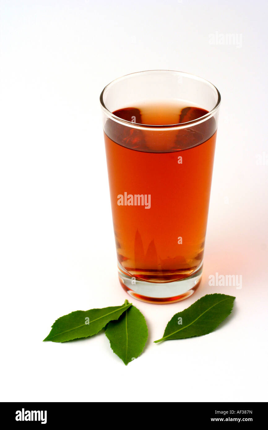Kombucha tea (traditional drink from China Stock Photo - Alamy