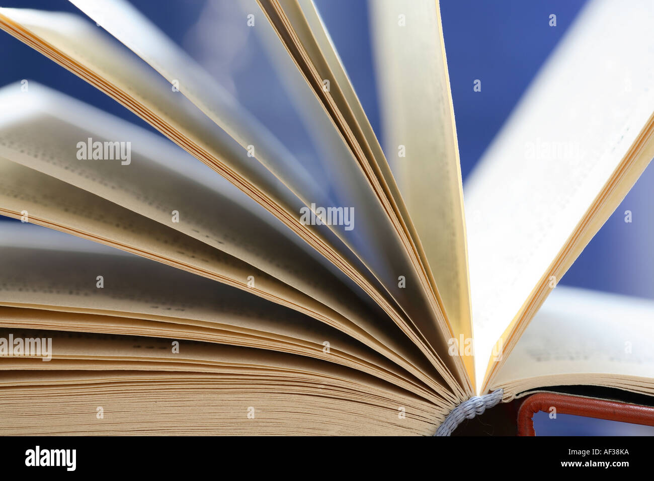 Pages of an open book Stock Photo - Alamy