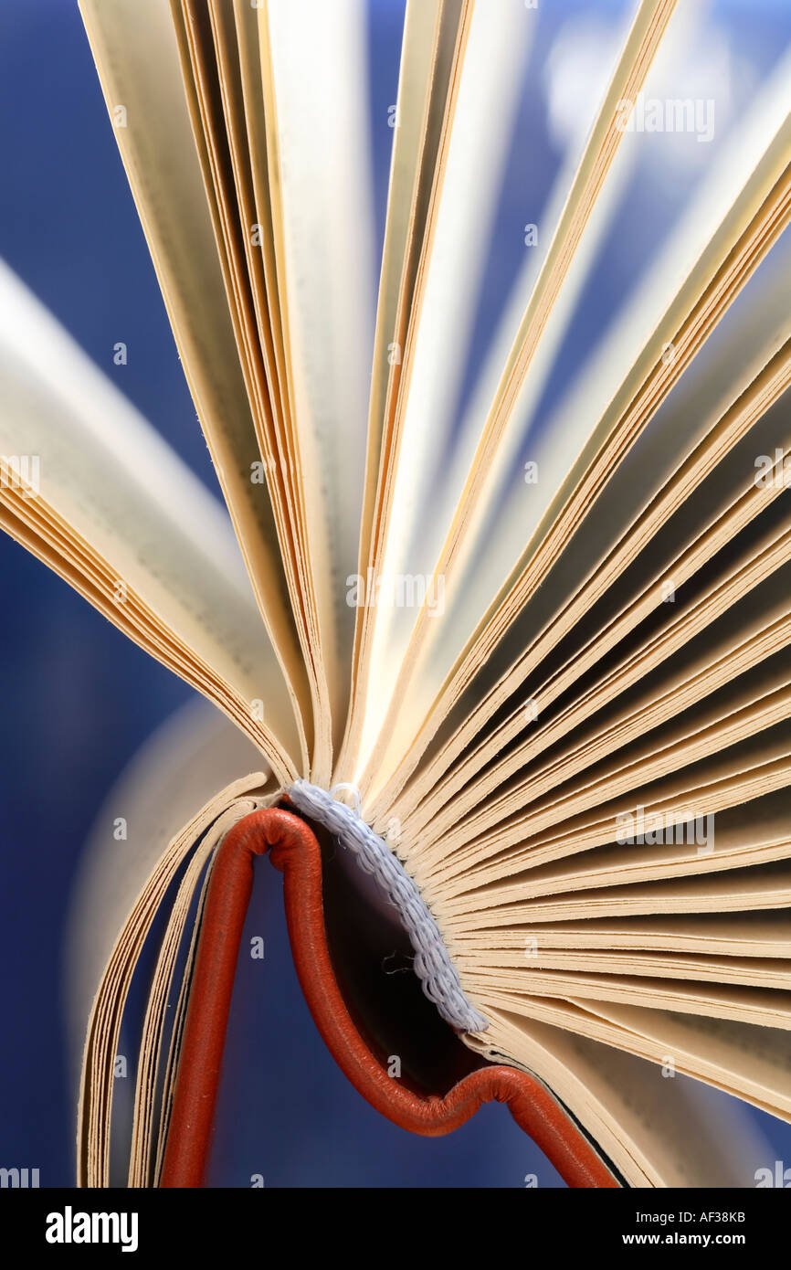 Pages of an open book Stock Photo - Alamy