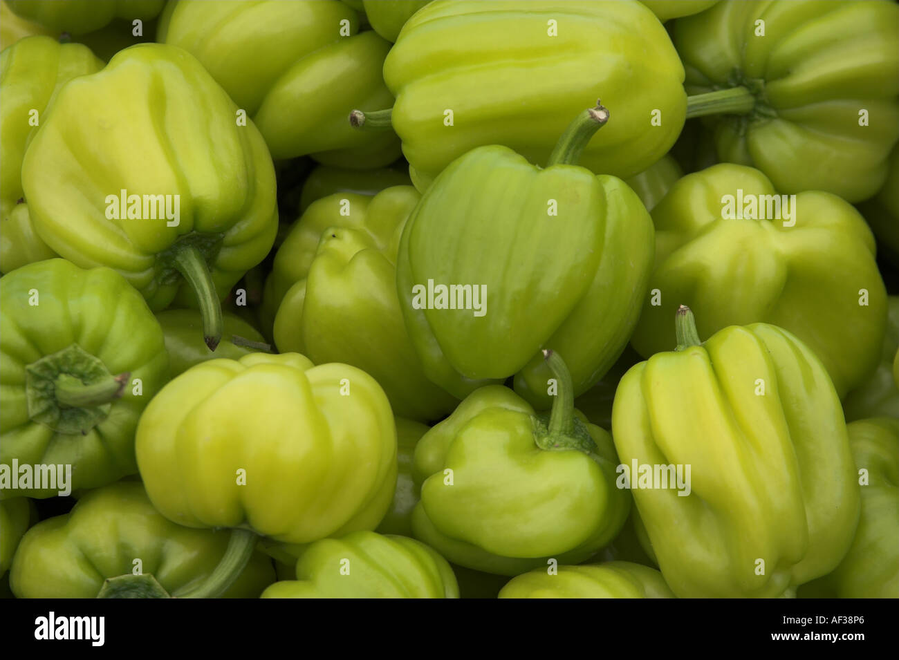Full frame landscape format of multiple light green peppers Stock Photo ...