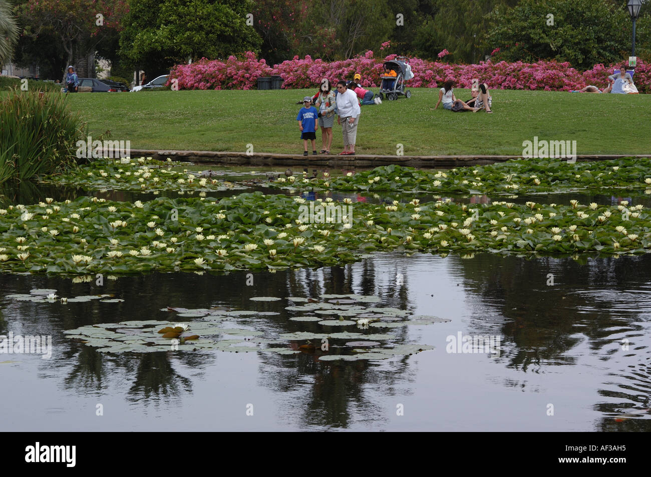 Alice Keck Park Stock Photo - Alamy