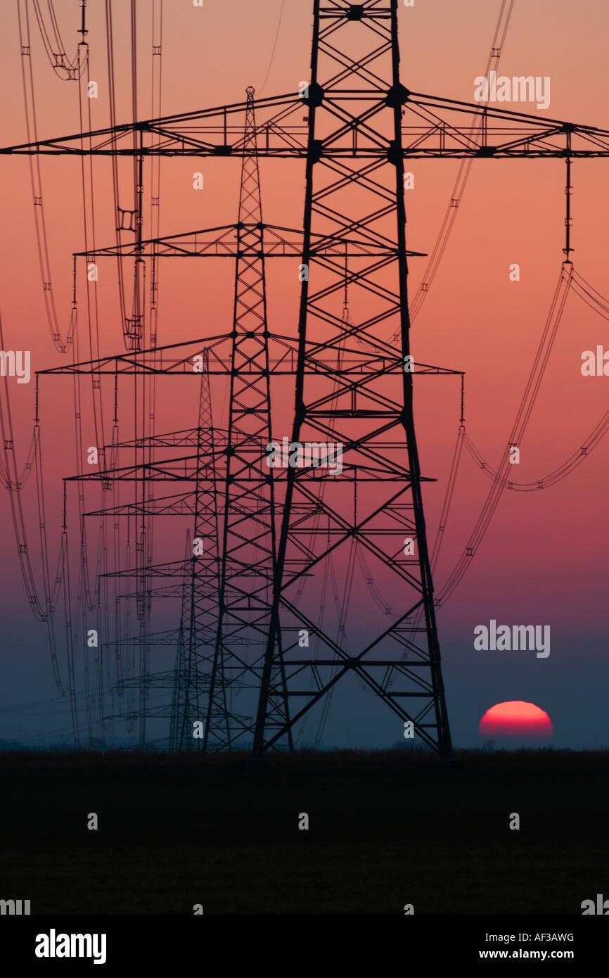 power poles in sunset Stock Photo - Alamy