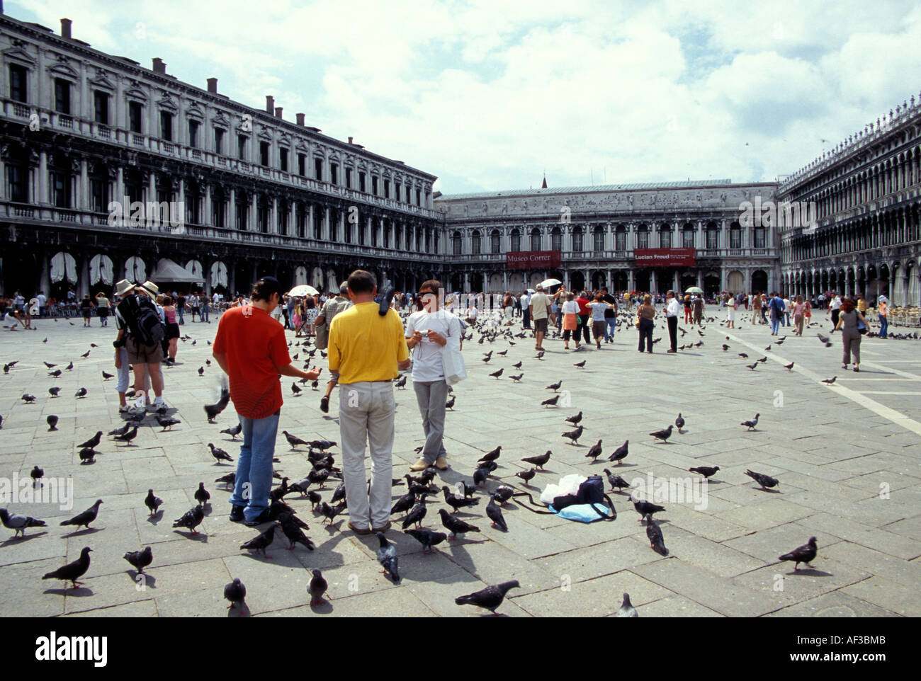 Tourists feeding pigeons at Piazza San Marco (St. Mark's Square ...