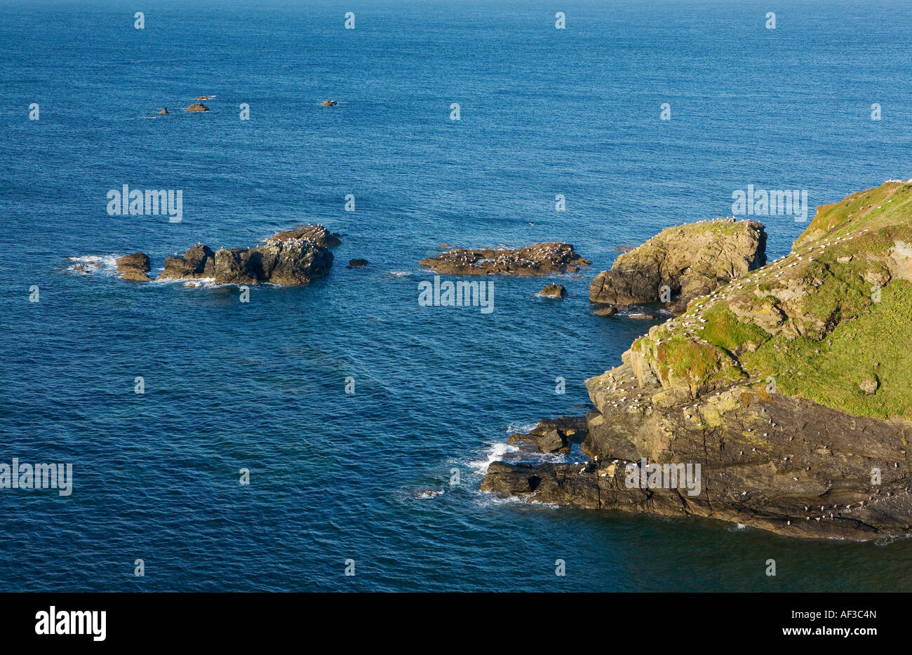 Lizard Point, Cornwall, UK Stock Photo - Alamy