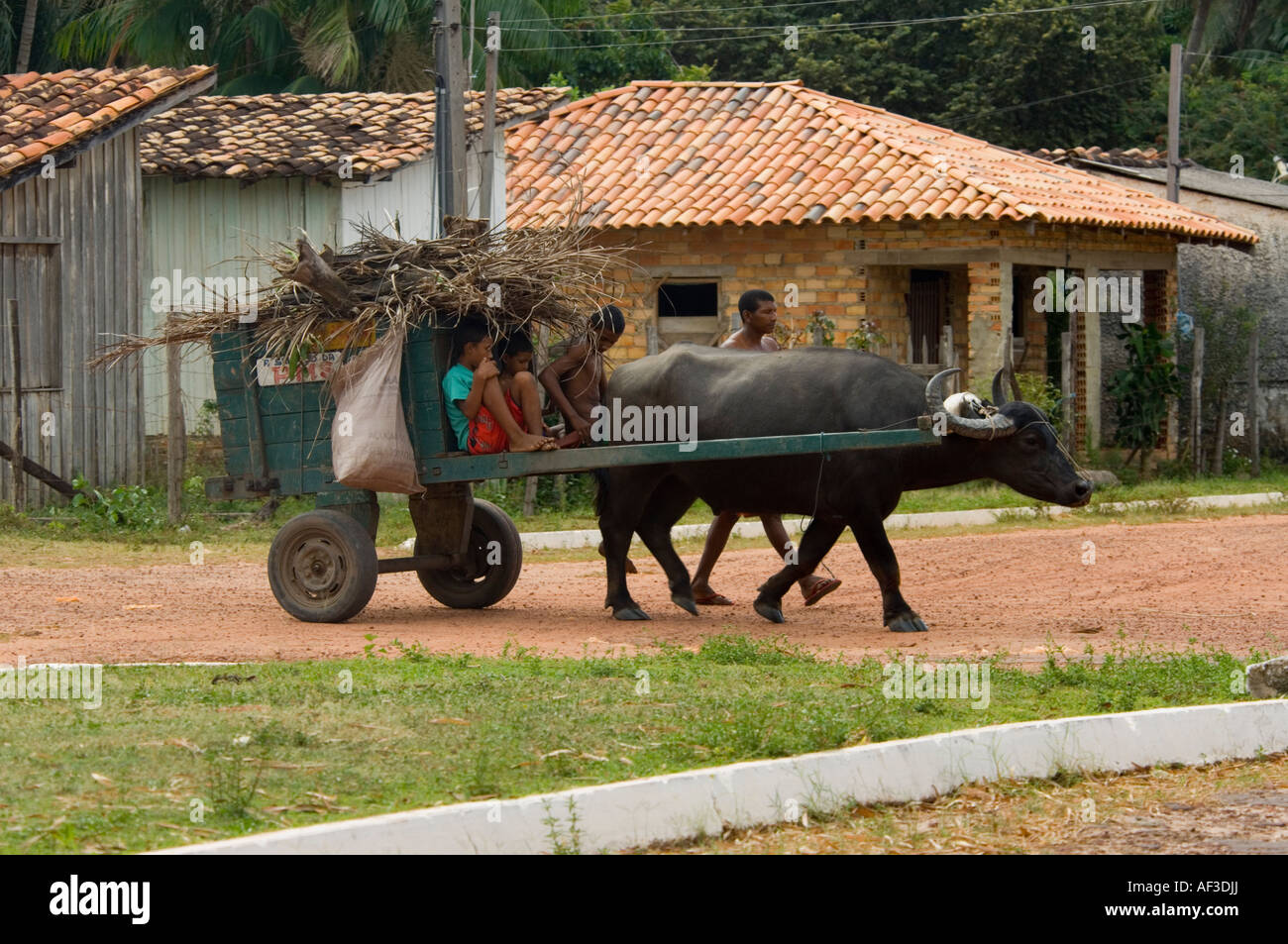 Four children in cart hi-res stock photography and images - Alamy