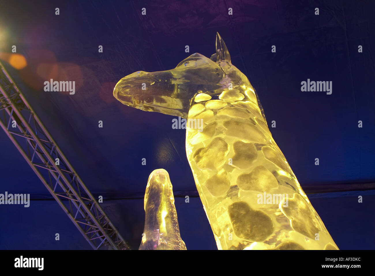 Ice sculptures. Giraffes Stock Photo - Alamy