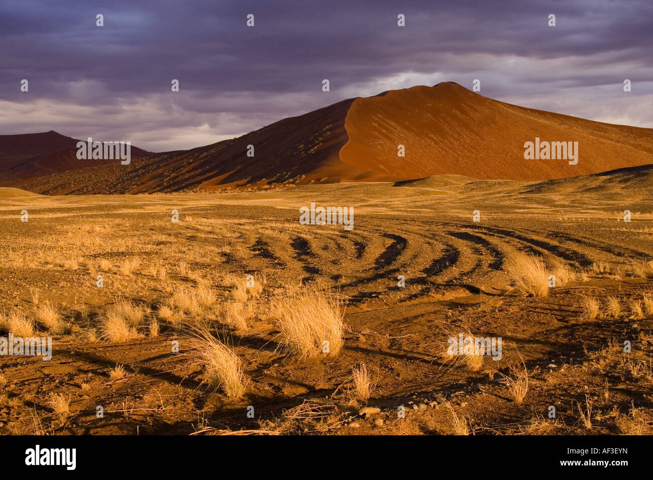 dune in the first morning light, Namibia, Namib Naukluft NP, Sossusvlei ...