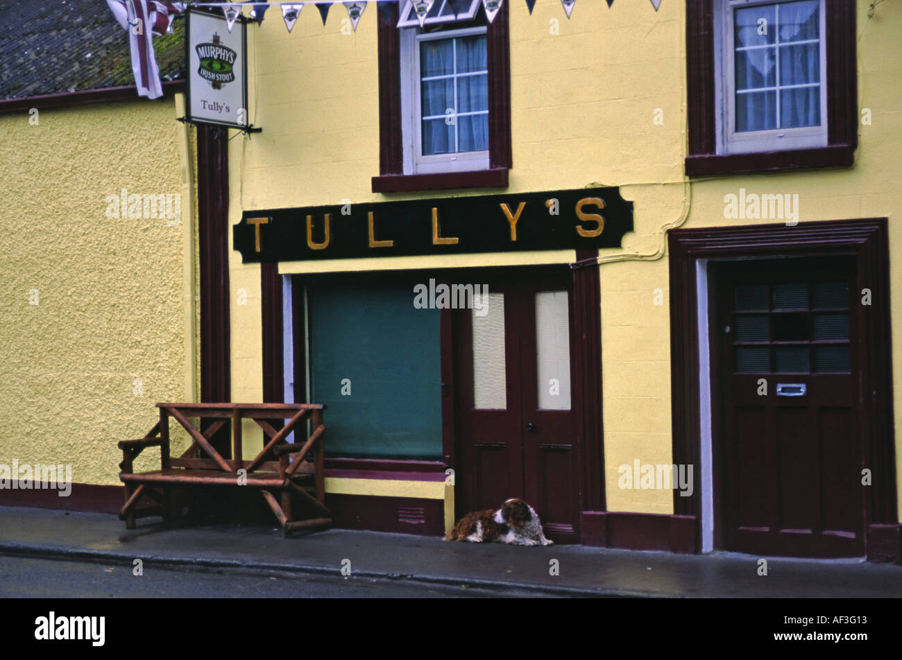 Pub in ireland with dog outside hi-res stock photography and images - Alamy