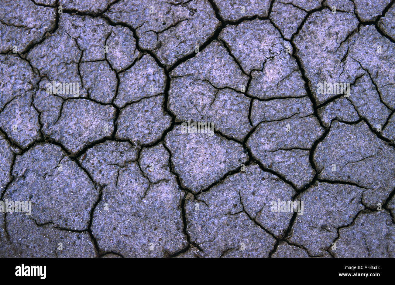 Mud drying out hi-res stock photography and images - Alamy