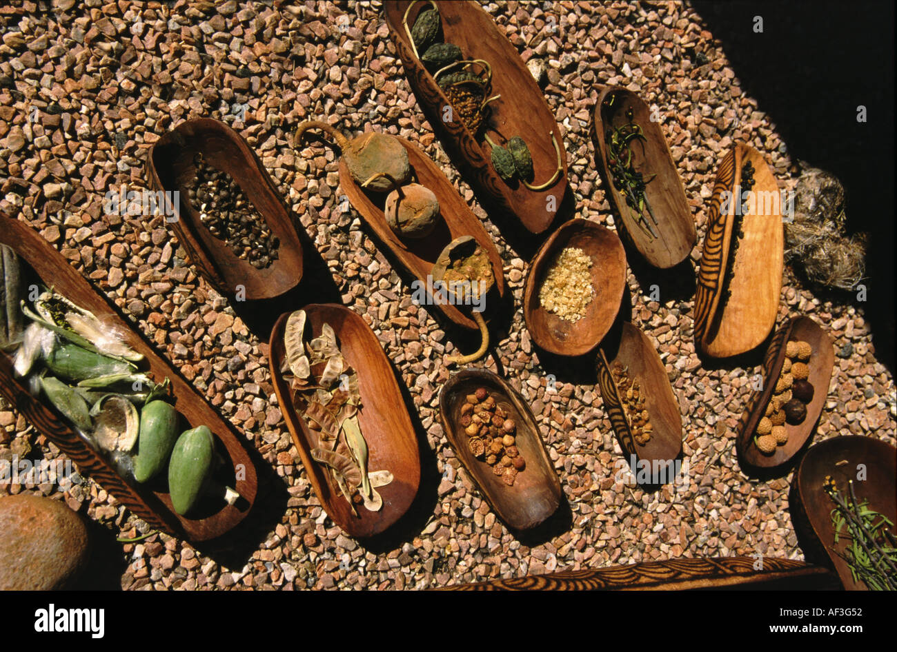 Selection of bush tucker foods in Central Australia Stock Photo - Alamy