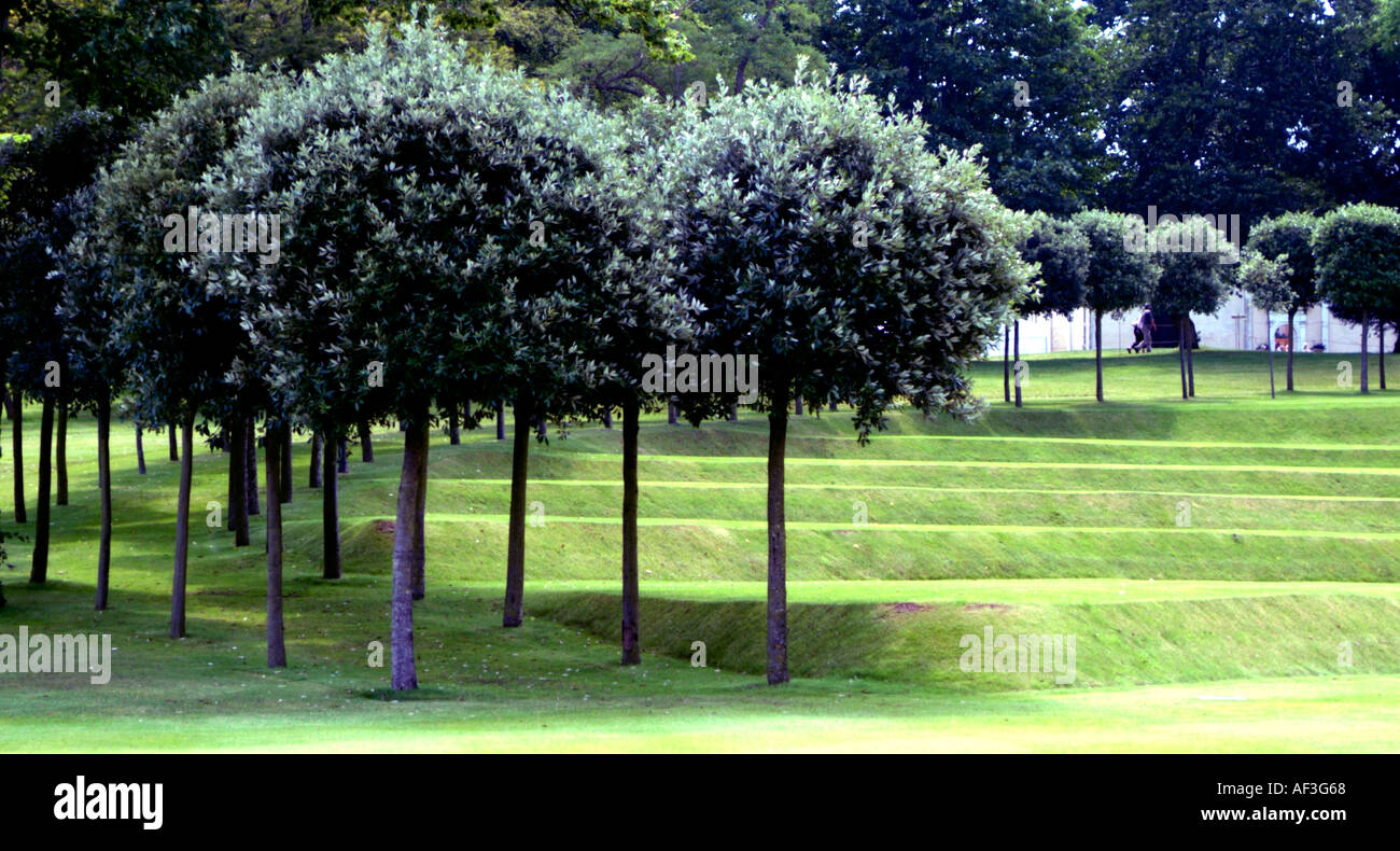 Ornamental trees hi-res stock photography and images - Alamy