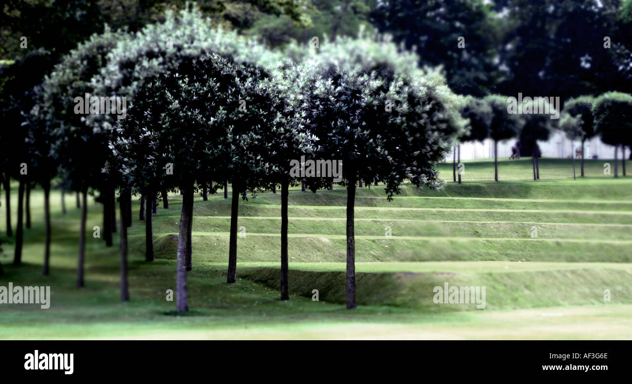 Ornamental trees hi-res stock photography and images - Alamy