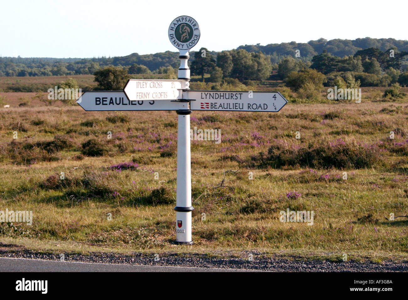 New Forest National Park Road Sign Stock Photo - Alamy