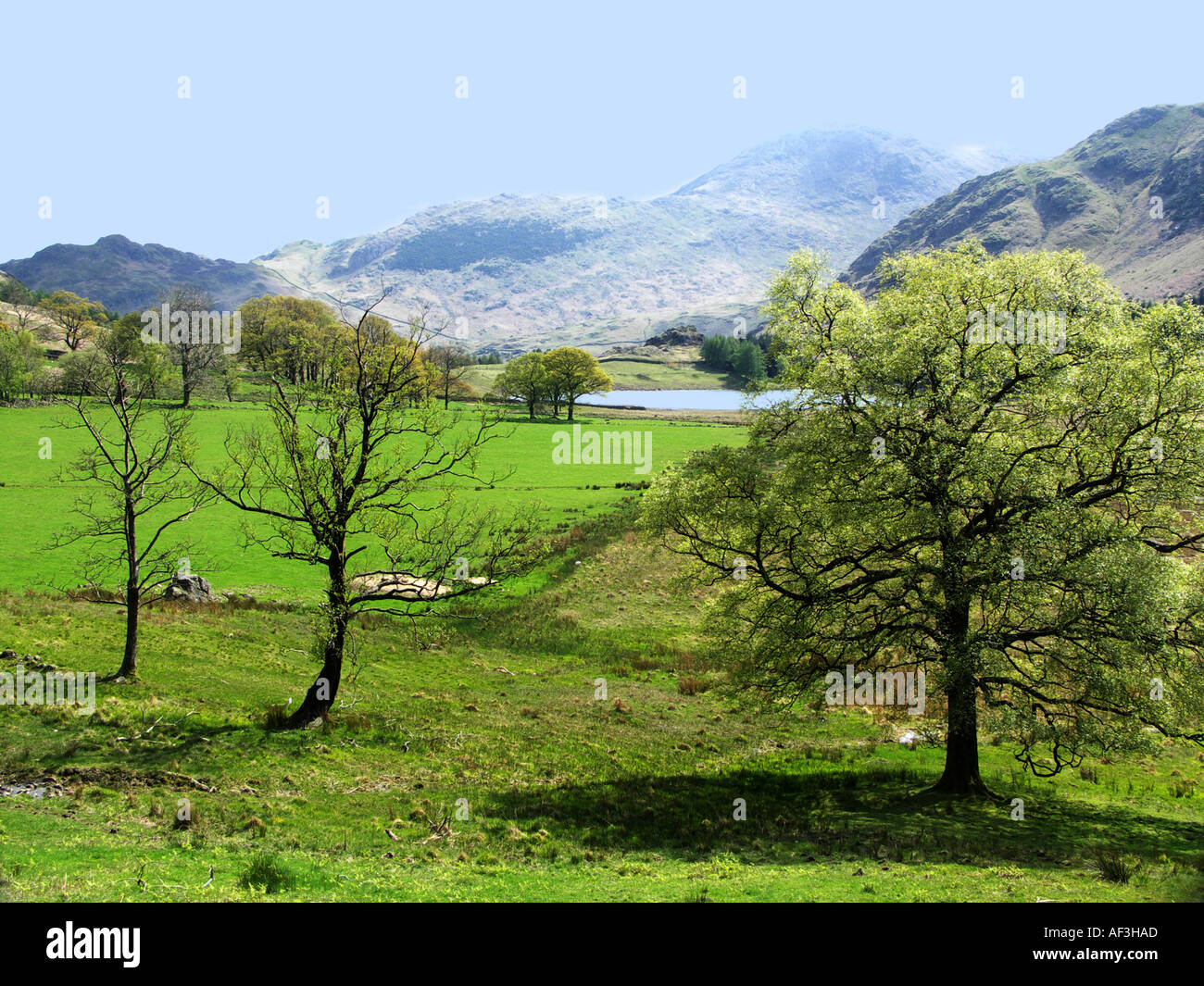 Blea tarn langdale english hi-res stock photography and images - Alamy