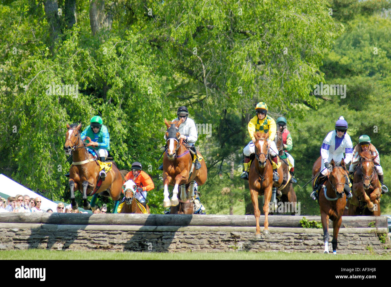 Cross country steeplechase hi-res stock photography and images - Alamy