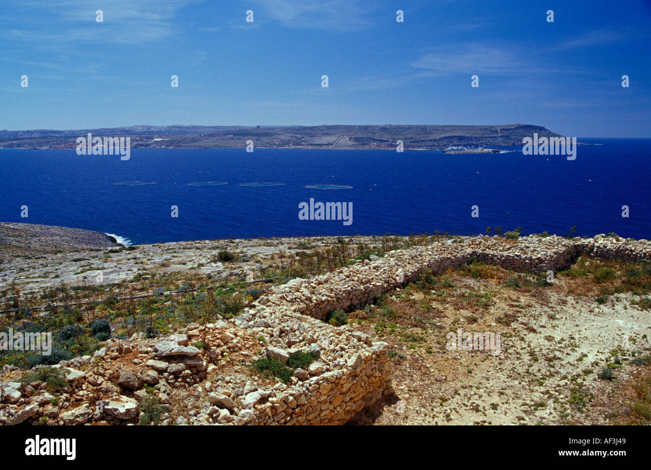 Malta fish farming hi-res stock photography and images - Alamy
