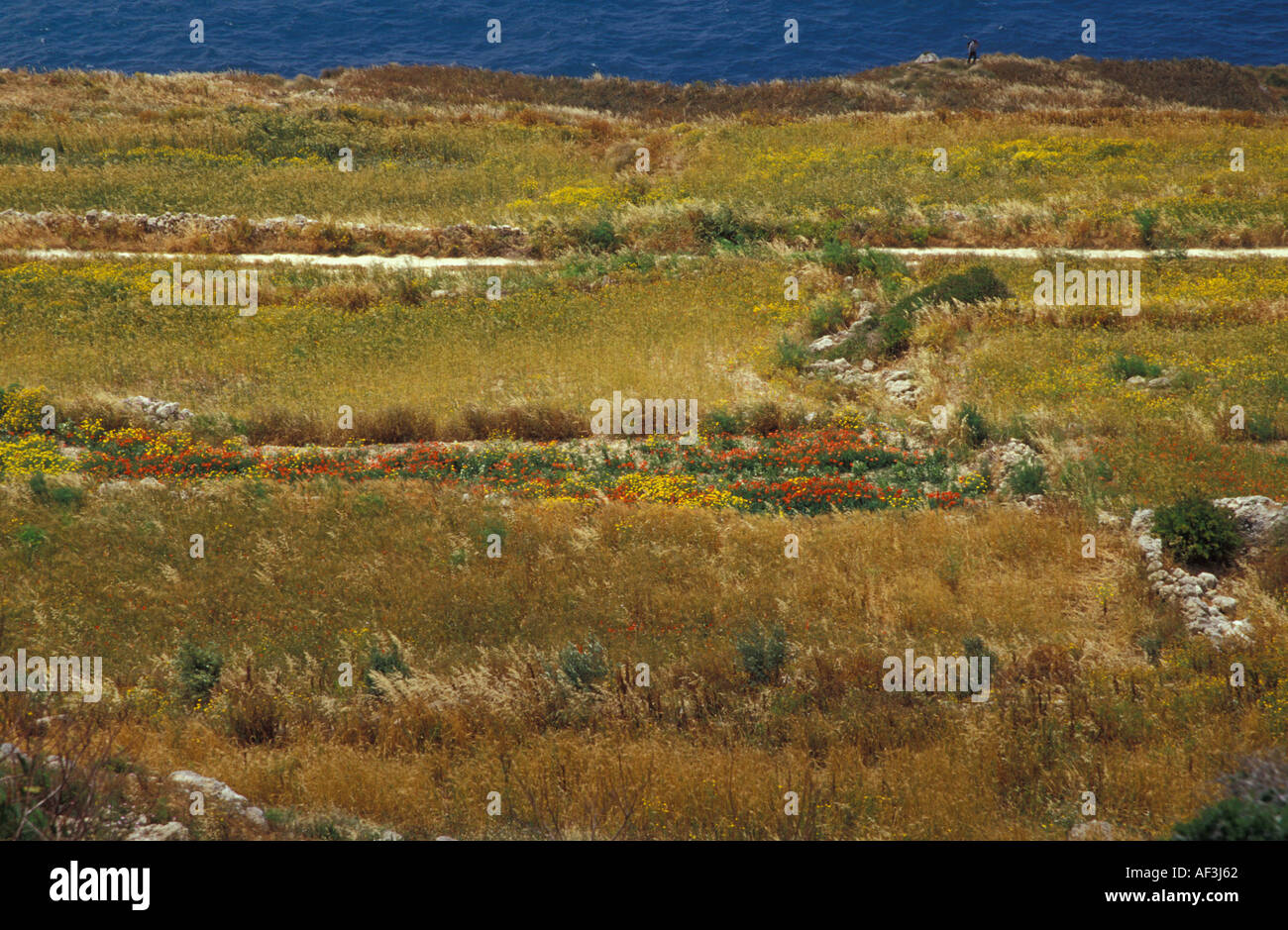 Marfa Ridge Landscape Malta Stock Photo - Alamy