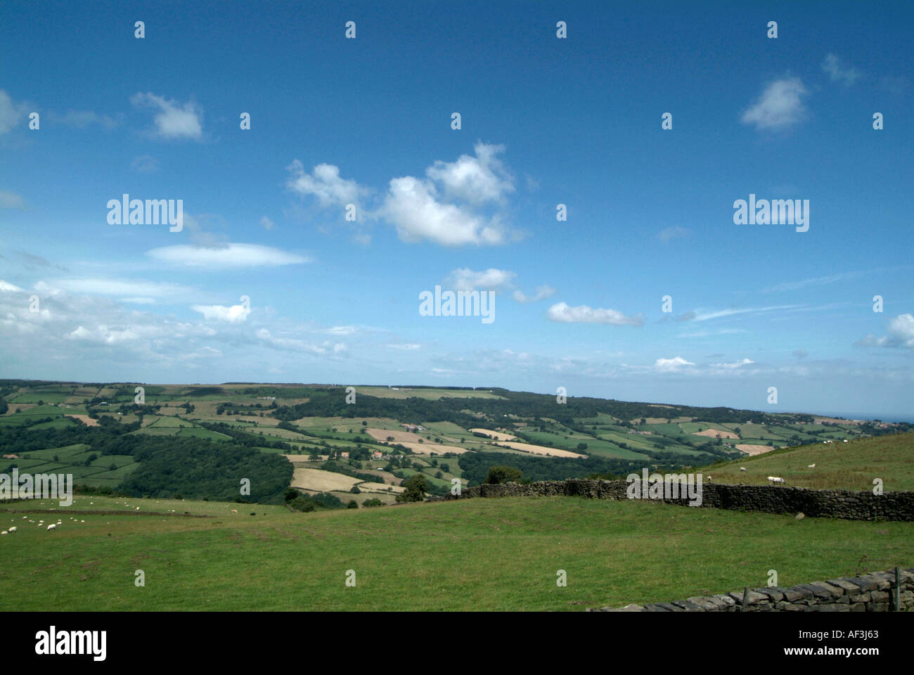View cross the Esk Valley in the North York Moors National Park Stock ...