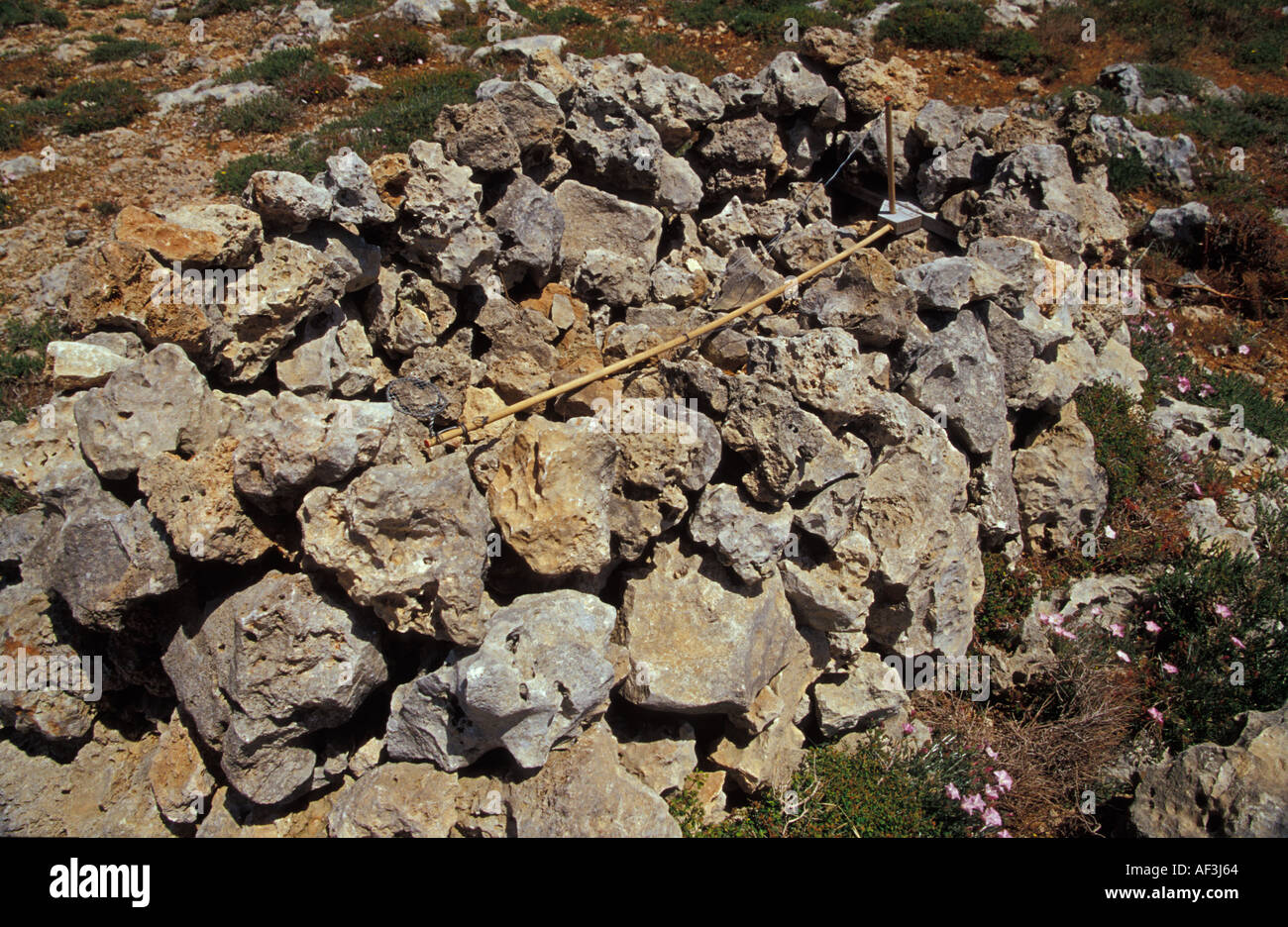 Trap rock ridge hi-res stock photography and images - Alamy