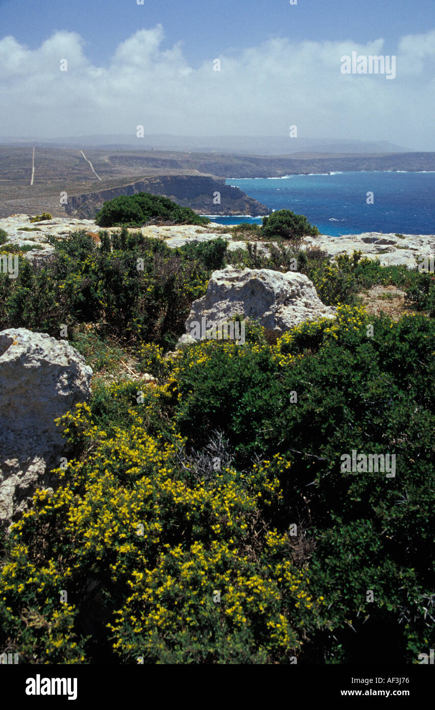Marfa Ridge Malta Stock Photo - Alamy