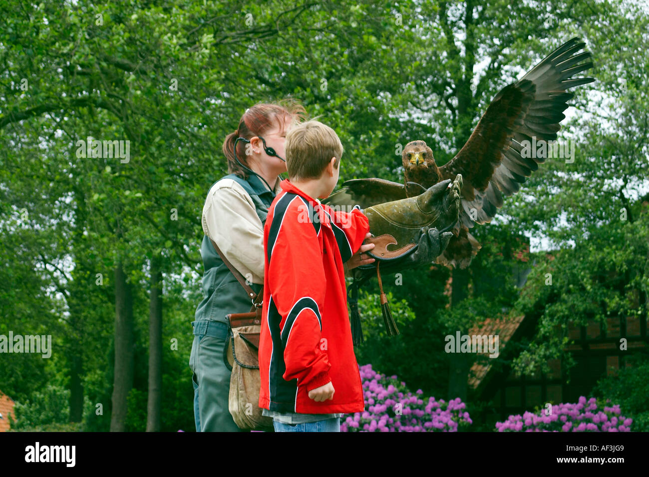 Bird show in VogelPark Stock Photo - Alamy