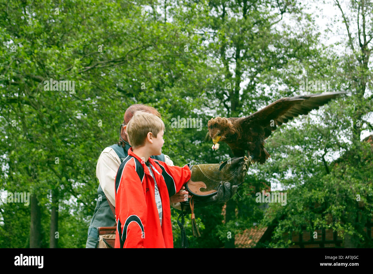 Bird show in VogelPark Stock Photo - Alamy