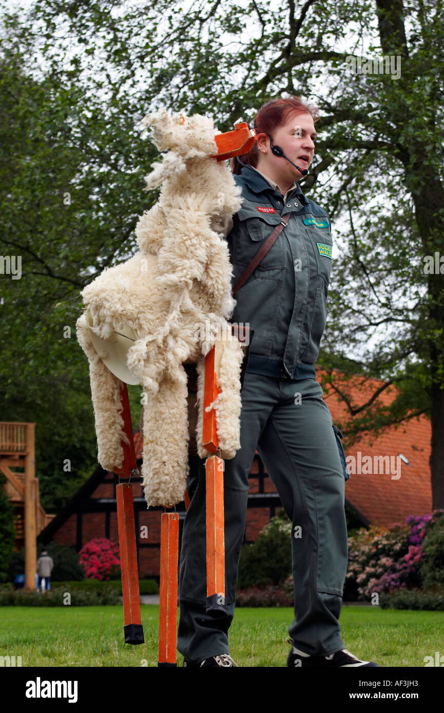 Bird show in VogelPark Stock Photo - Alamy