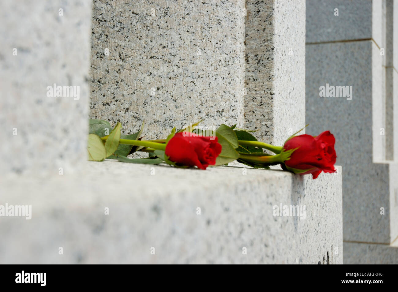 red roses left at the World War II Memorial in Washington DC USA Stock ...