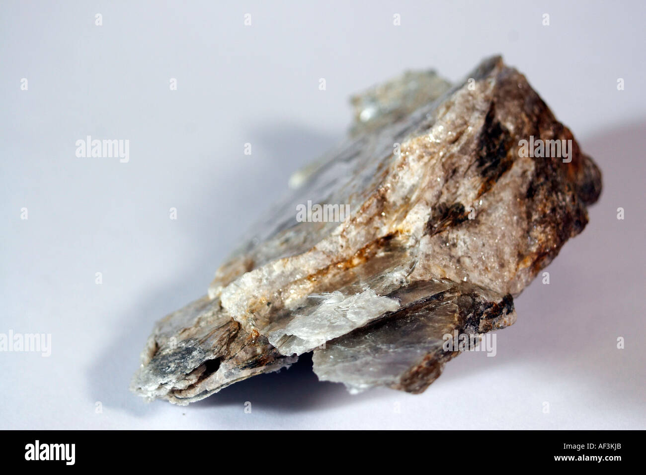 Muskovit hi-res stock photography and images - Alamy