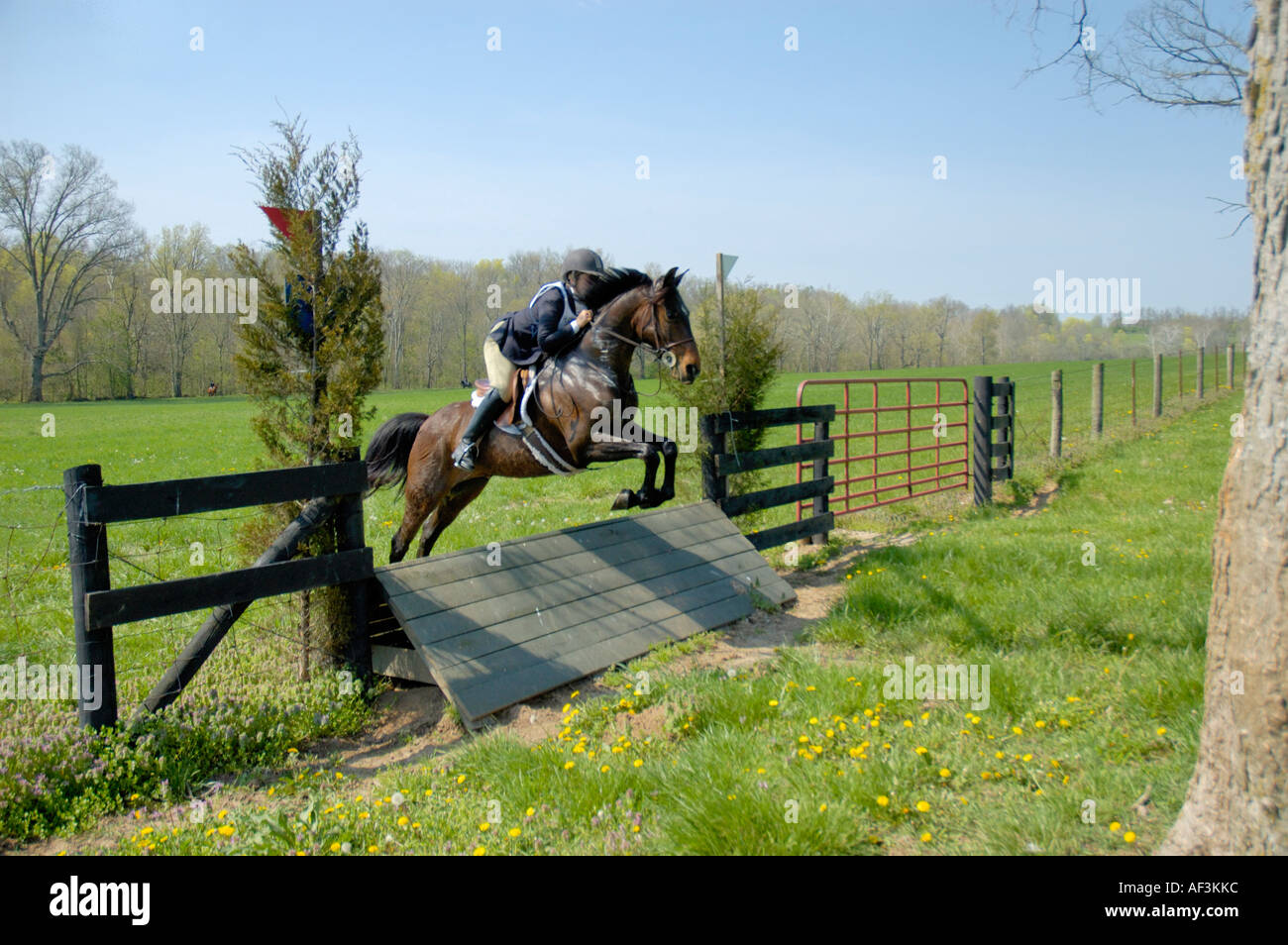 Horse jumping over fence hi-res stock photography and images - Alamy