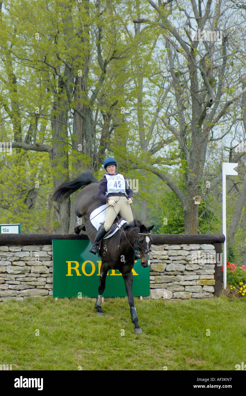Horse and rider cross country international competitor Stock Photo - Alamy