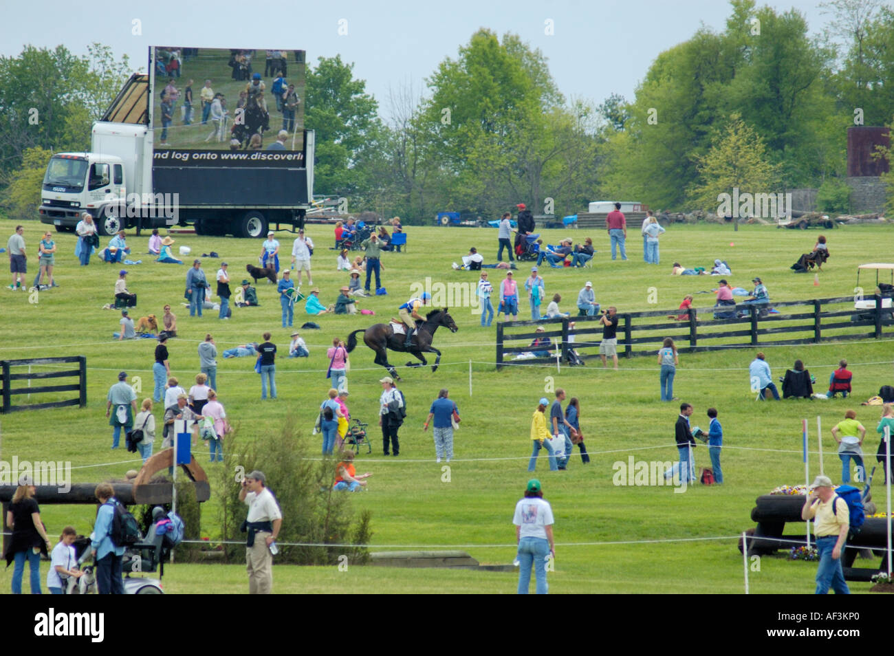 Horse and rider cross country international competitor Stock Photo - Alamy