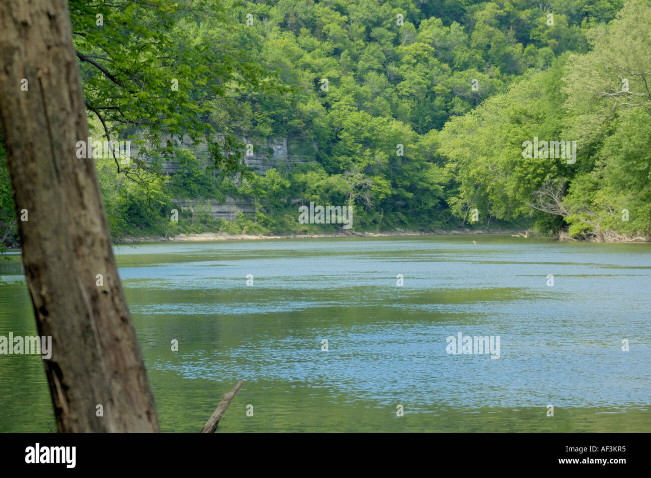 Kentucky River palisades in bluegrass region Stock Photo - Alamy